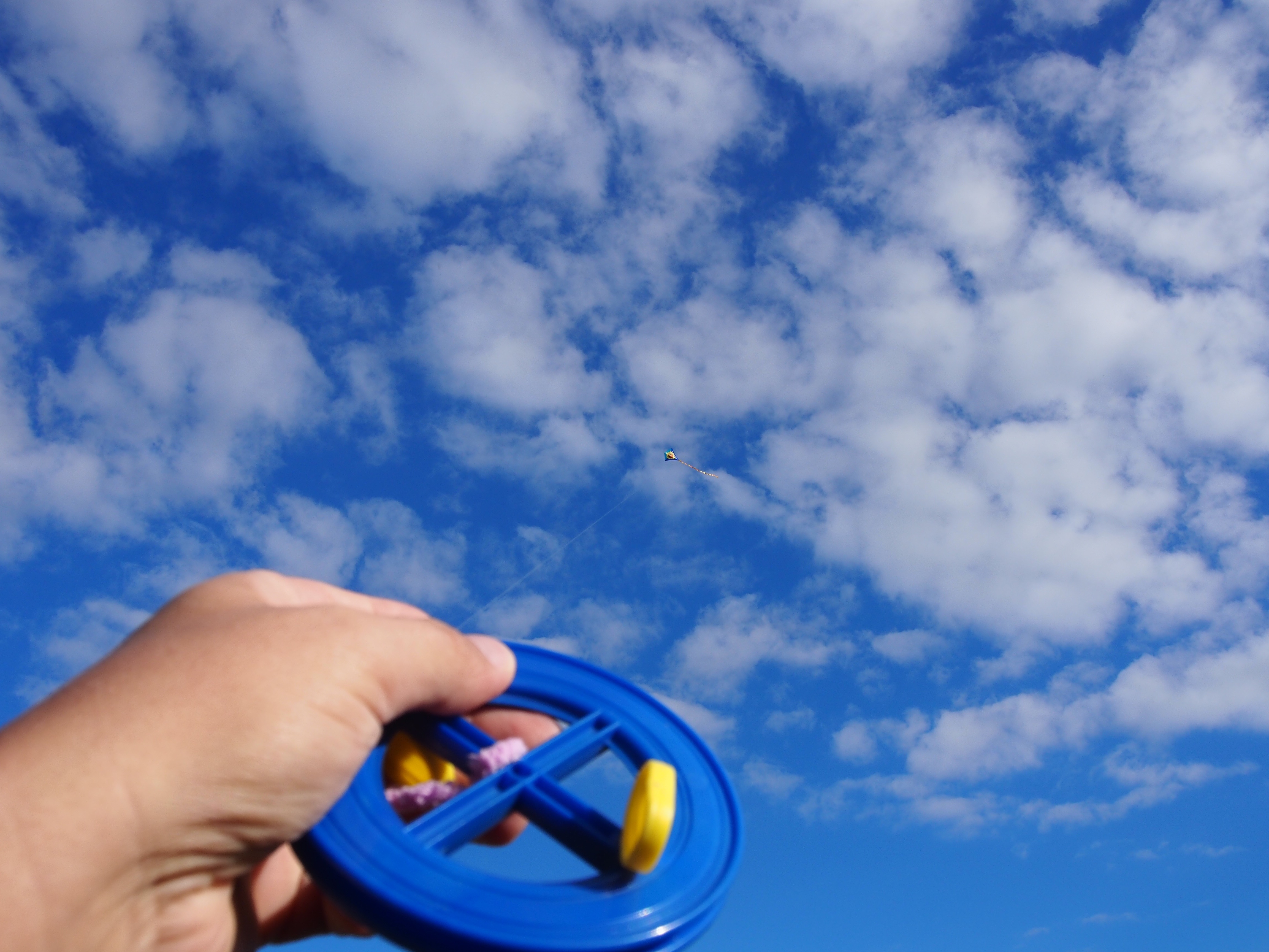 Risikolebensversicherung | Lars Scholz